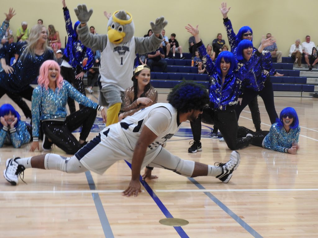 funky falcon 2 – Freedom Crossing Academy